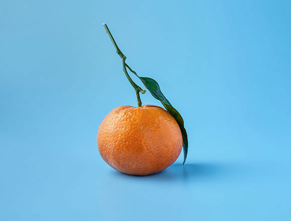 Orange - Celebrating Seraph Award